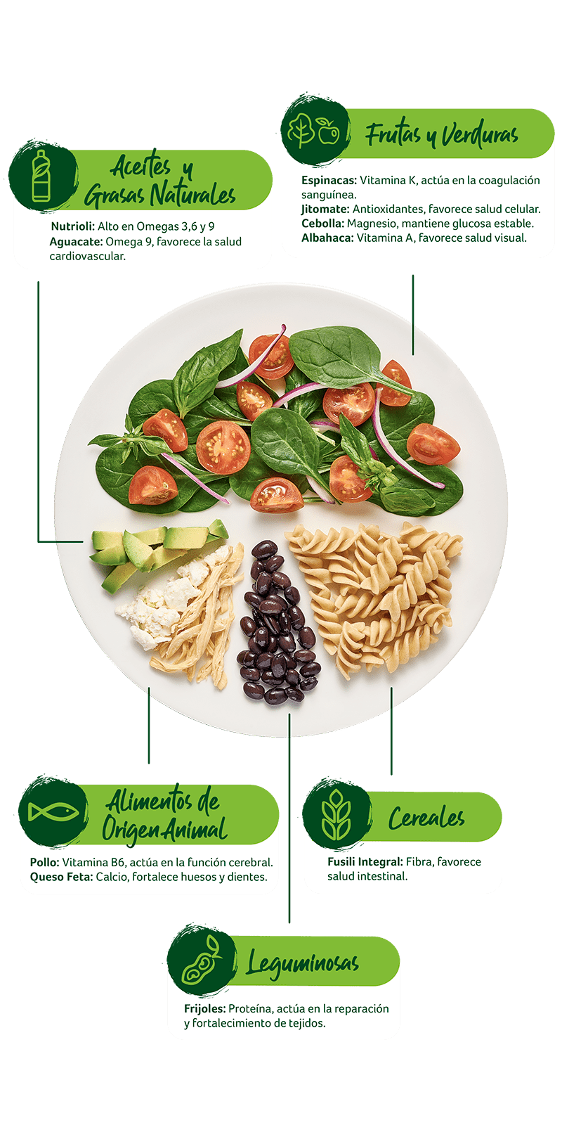 Ensalada de pollo con pasta - Nutrioli